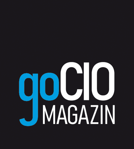 goCIO-Portal – Information und Wissen für den CIO und andere IT ...